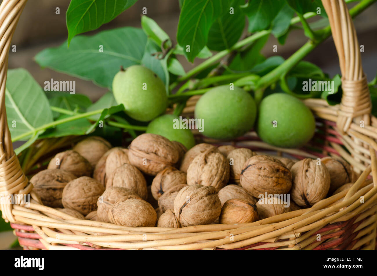 close up to walnuts in basket Stock Photo - Alamy