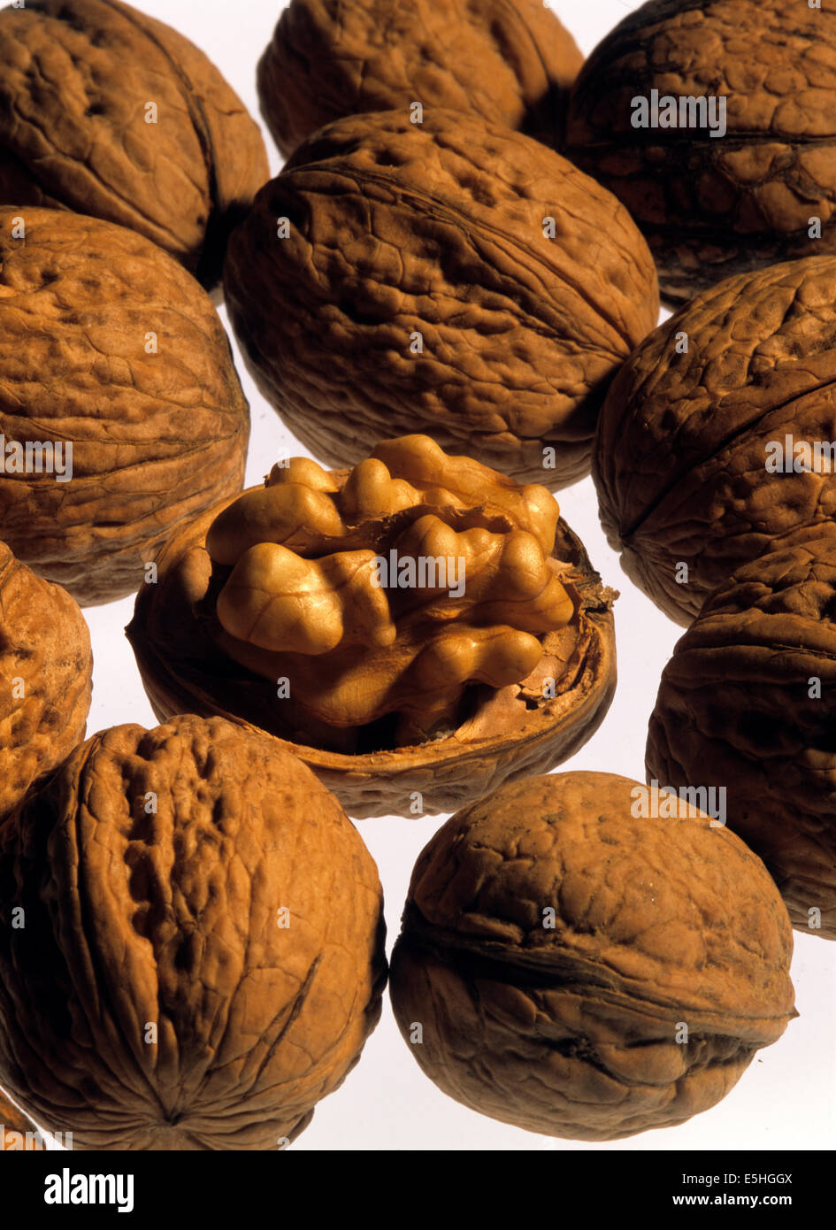 Illustration walnut hi-res stock photography and images - Alamy