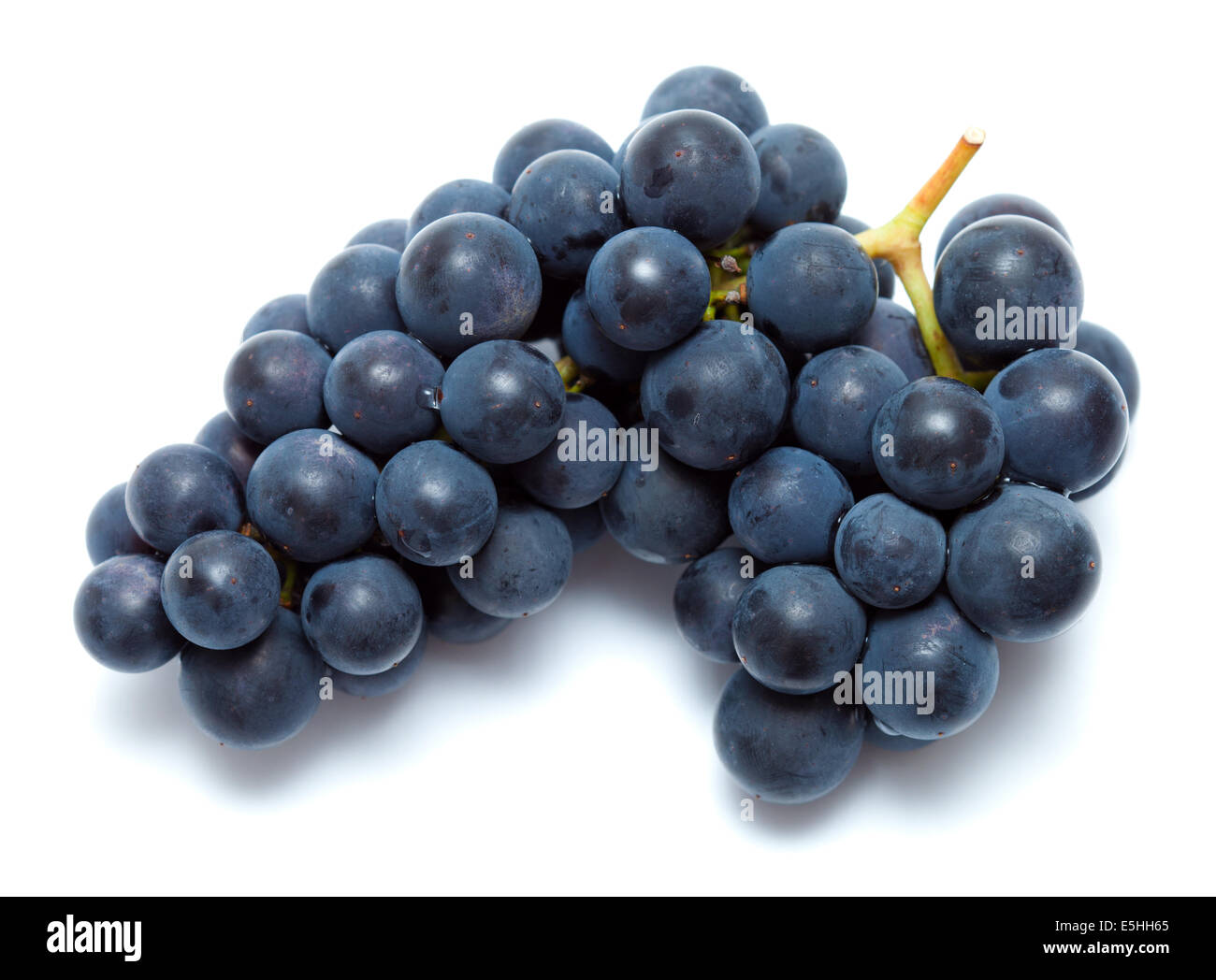 Black grapes bloom hi-res stock photography and images - Alamy