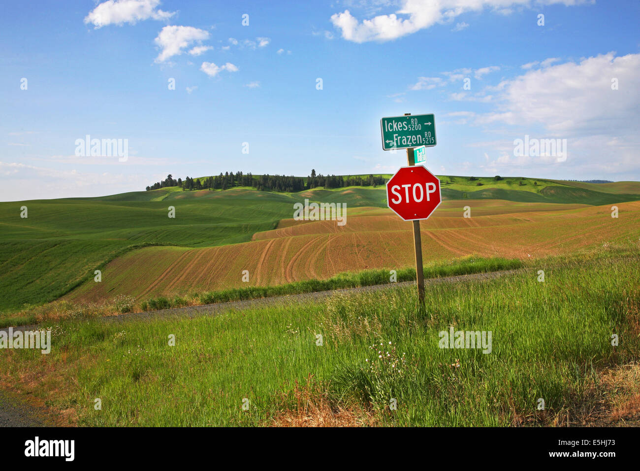 A farm in the remote Palouse Empire region, a farming and wheat growing ...