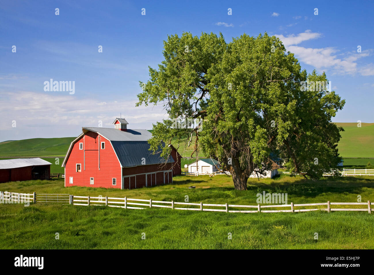 A farm in the remote Palouse Empire region, a farming and wheat growing ...