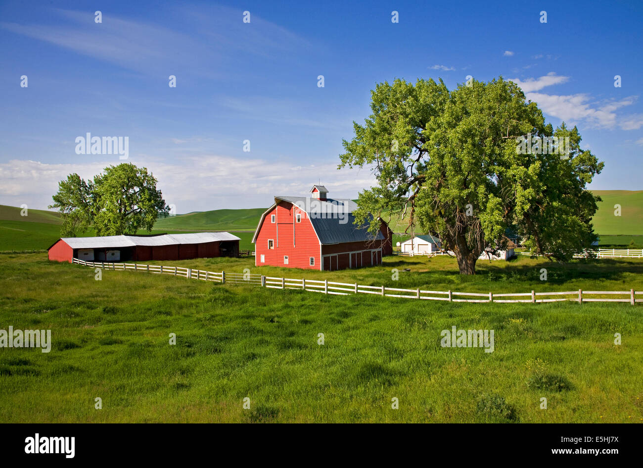 A farm in the remote Palouse Empire region, a farming and wheat growing ...