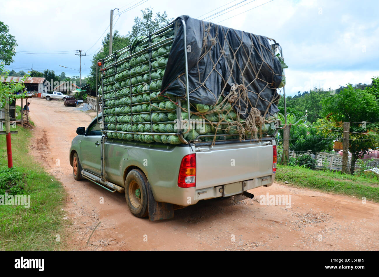 Vegetable transportation vehicles on street at Phu Hin Rong Kla ...