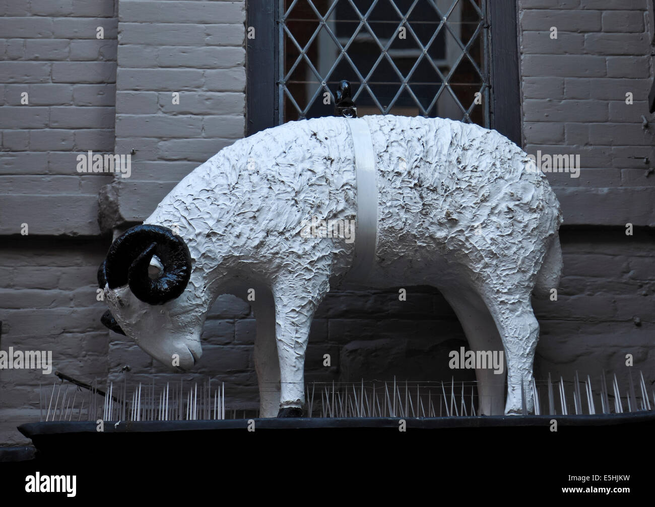 9608. Old Wool Shop sign, Salisbury, Wiltshire Stock Photo - Alamy