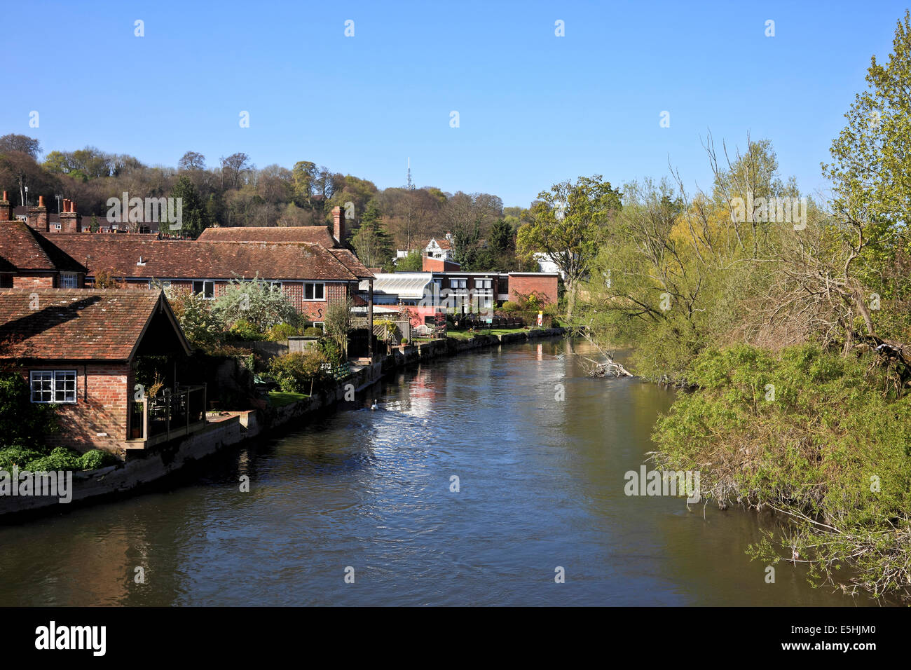 The River Avon At Salisbury High Resolution Stock Photography and ...