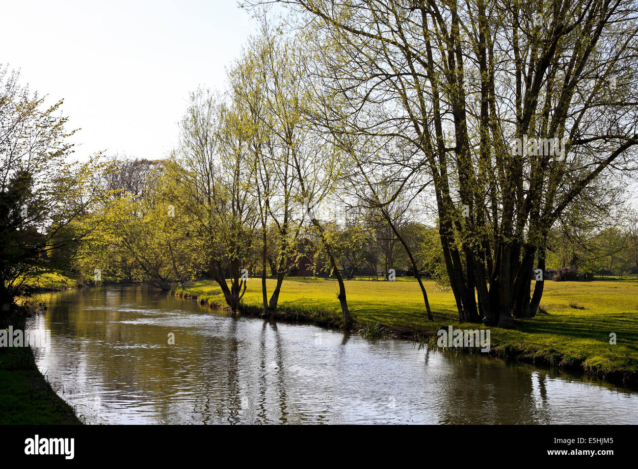 Nadder hi-res stock photography and images - Alamy