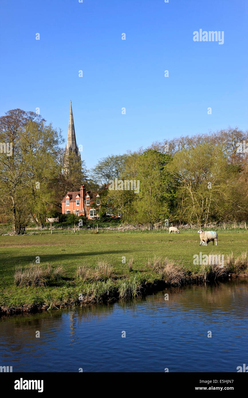 Nadder hi-res stock photography and images - Alamy