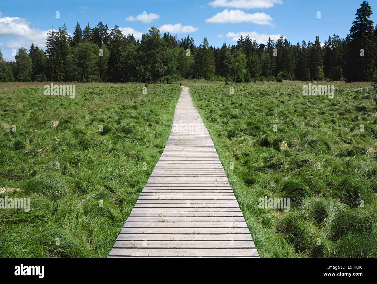 Kladska peats (Glatzener Moor) is a national nature reserve in Slavkov ...