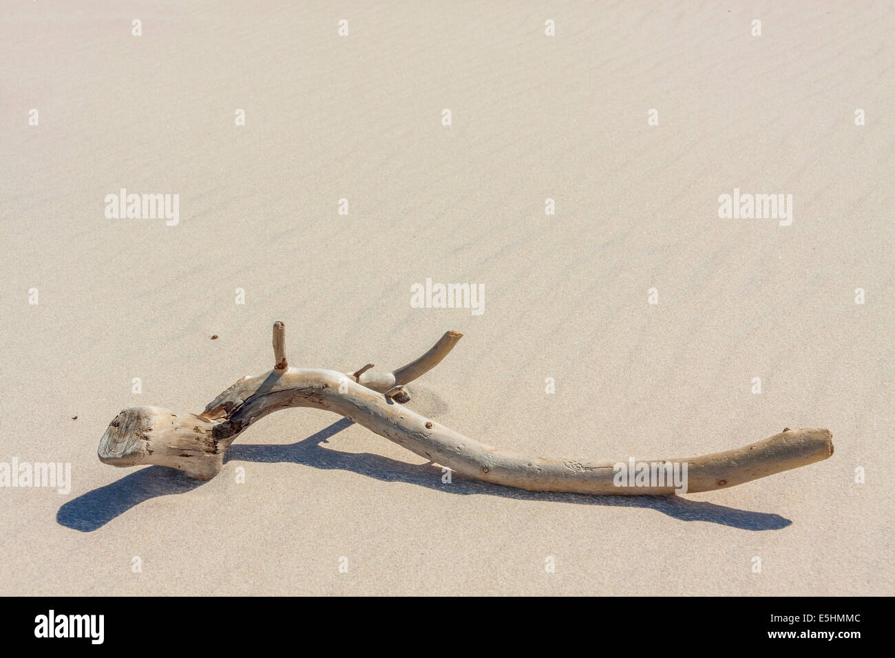 Wood on the beach hi-res stock photography and images - Alamy