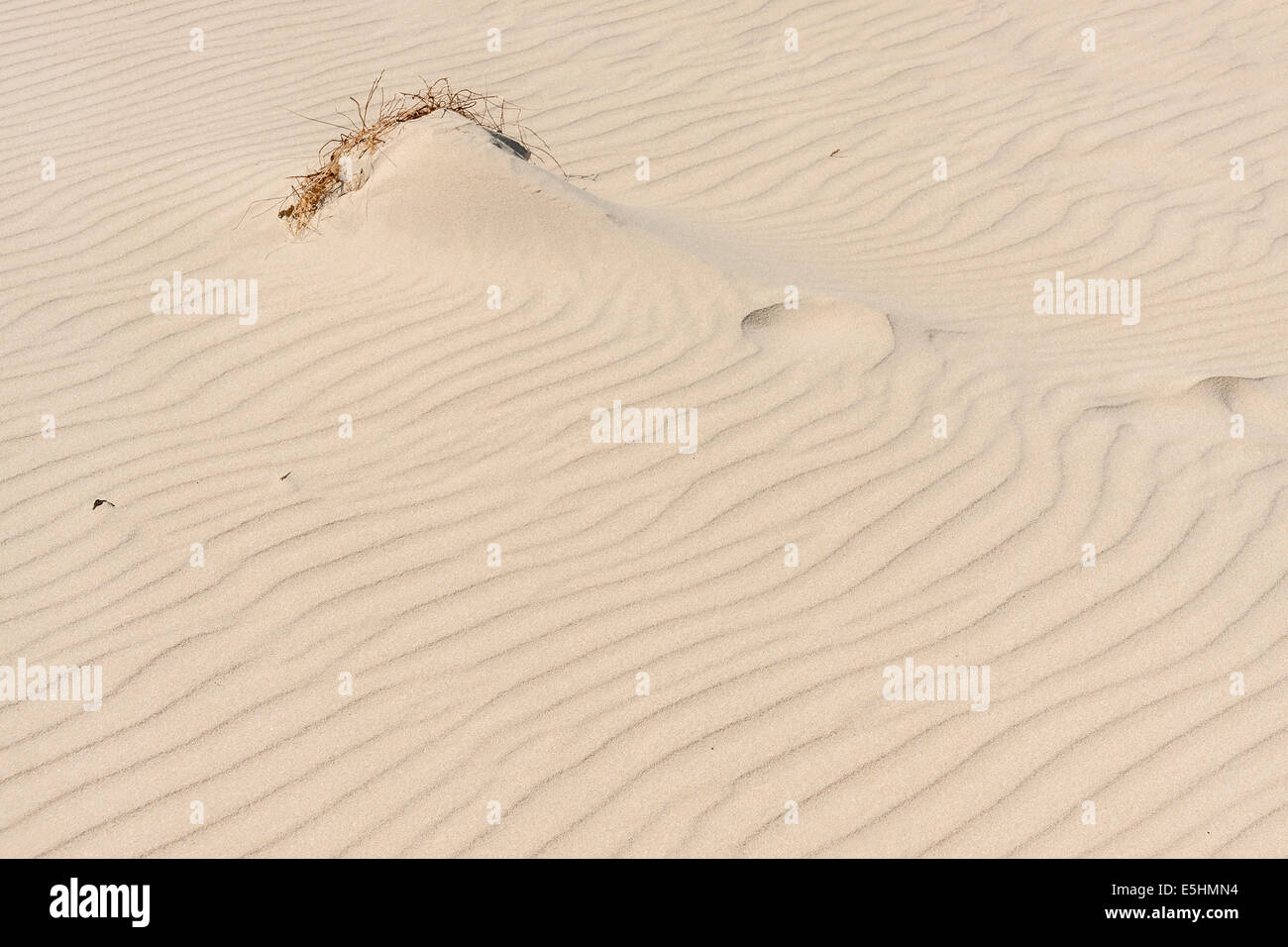 Beach sand pattern Stock Photo - Alamy