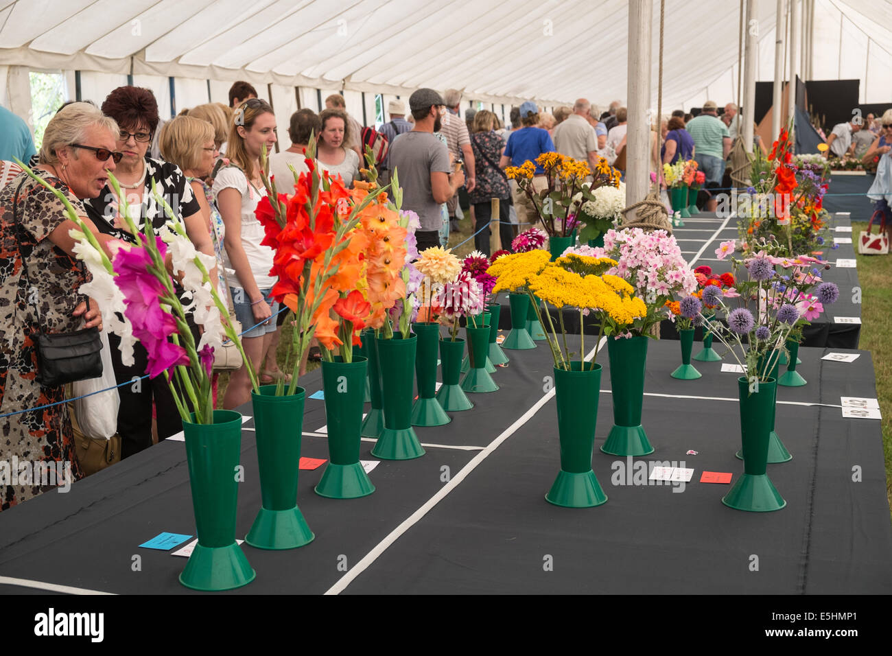 Sandringham Flower Stock Photos & Sandringham Flower Stock Images - Alamy
