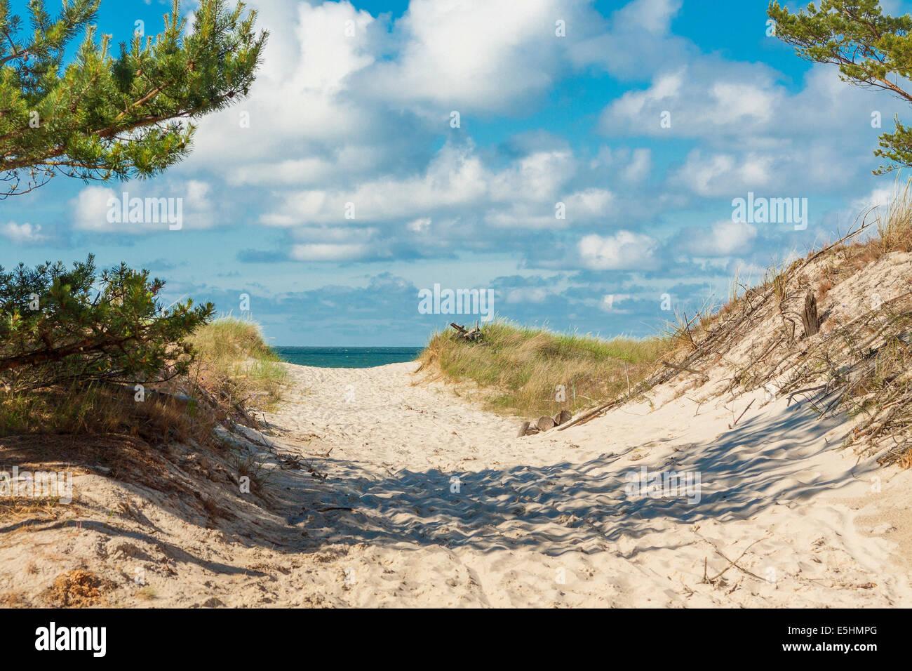 Beach entrance and sand dunes in Bialogora, Poland Stock Photo - Alamy
