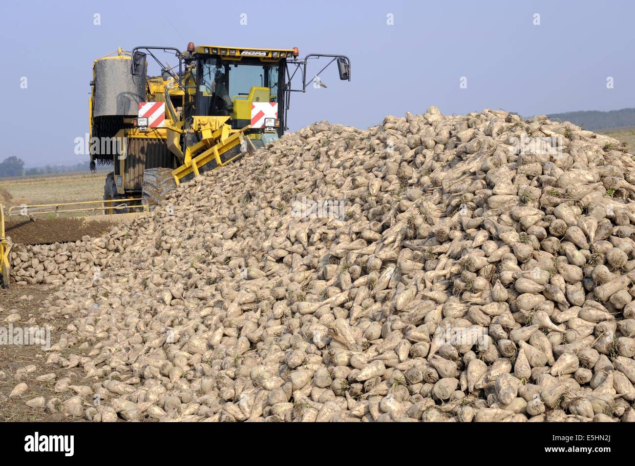 Beet loader hi-res stock photography and images - Alamy