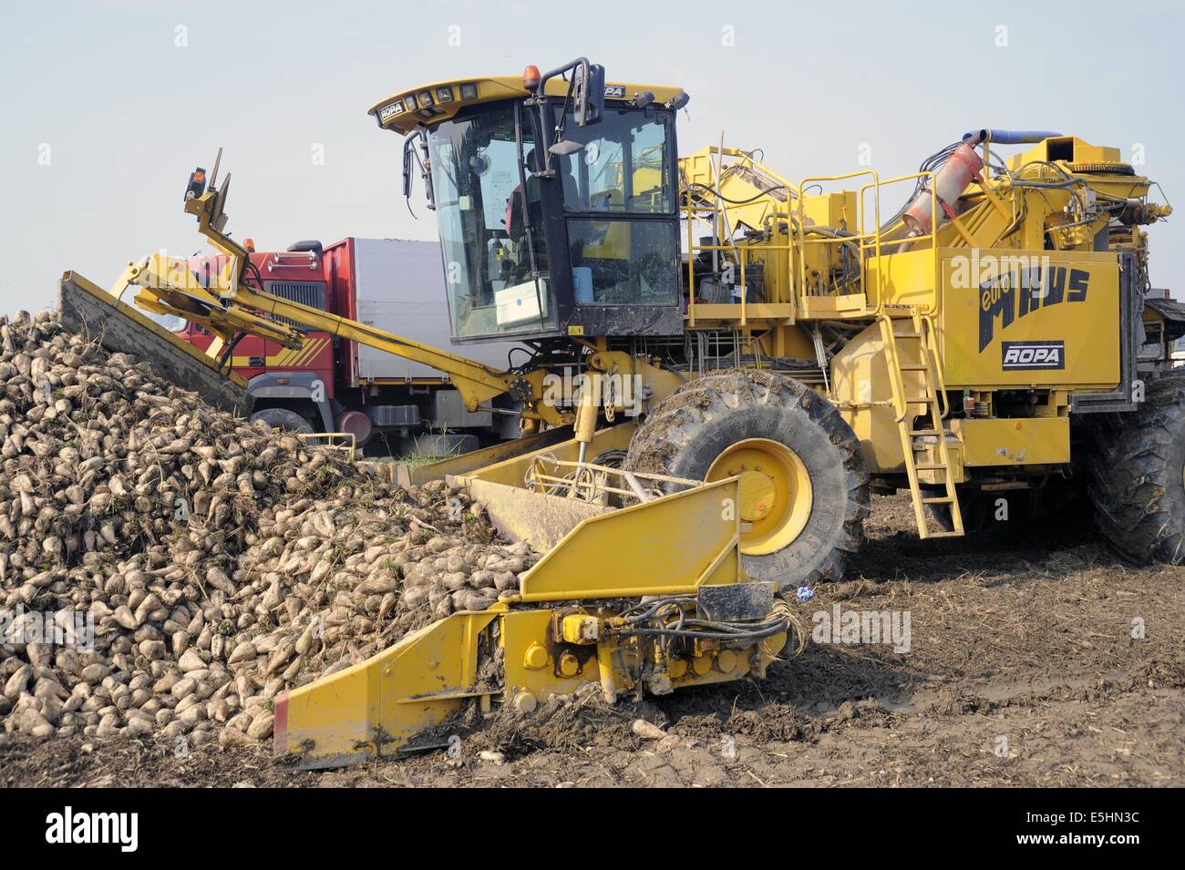 Self Propelled Sugar Beet Loader Stock Photos & Self Propelled Sugar ...