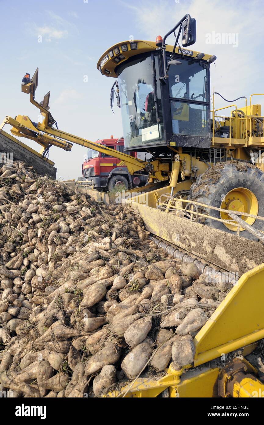 Self propelled beet harvester hi-res stock photography and images - Alamy