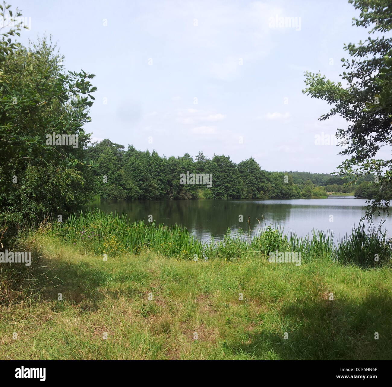 Lake walk view hi-res stock photography and images - Alamy