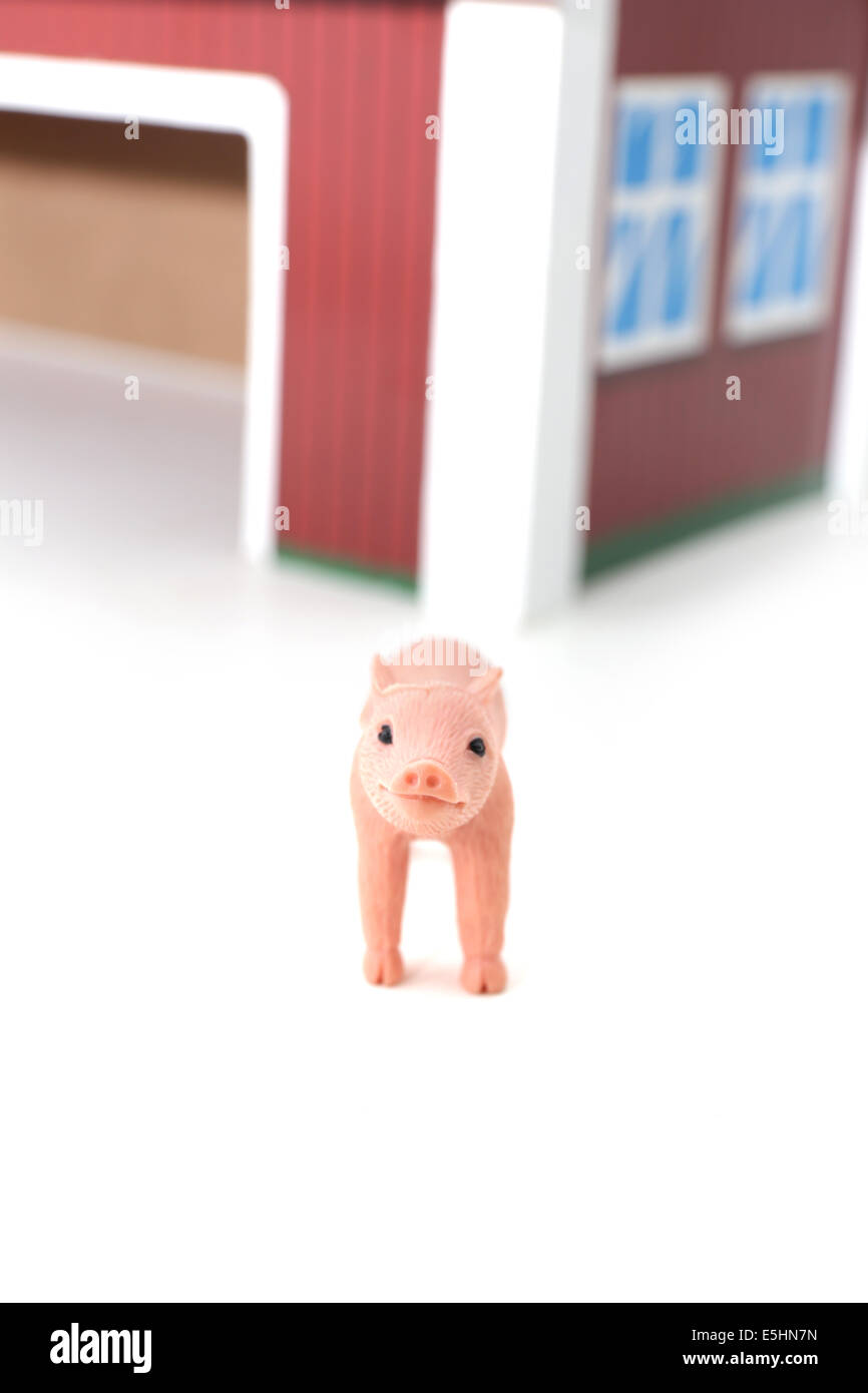 Small pig outside farmhouse Stock Photo - Alamy