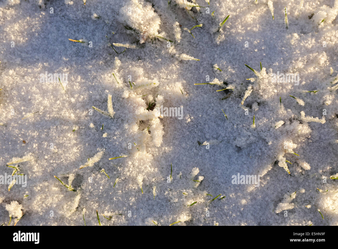 Frozen into ground hi-res stock photography and images - Alamy