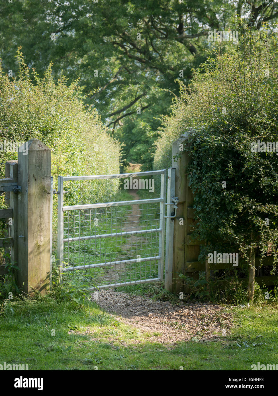Gate at end of lane with hedges on either side Stock Photo - Alamy