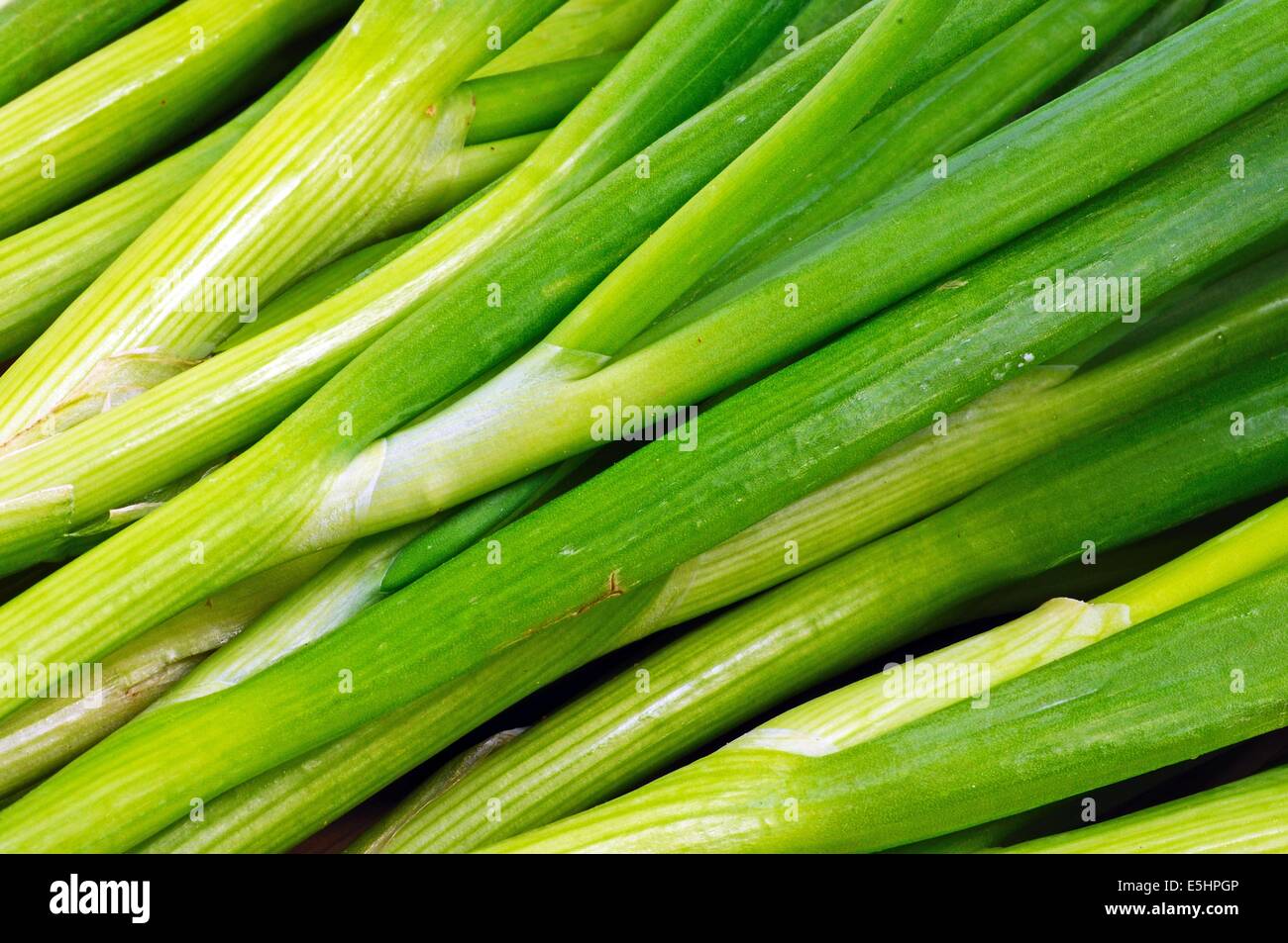 Bunch of white spring onions Stock Photo - Alamy