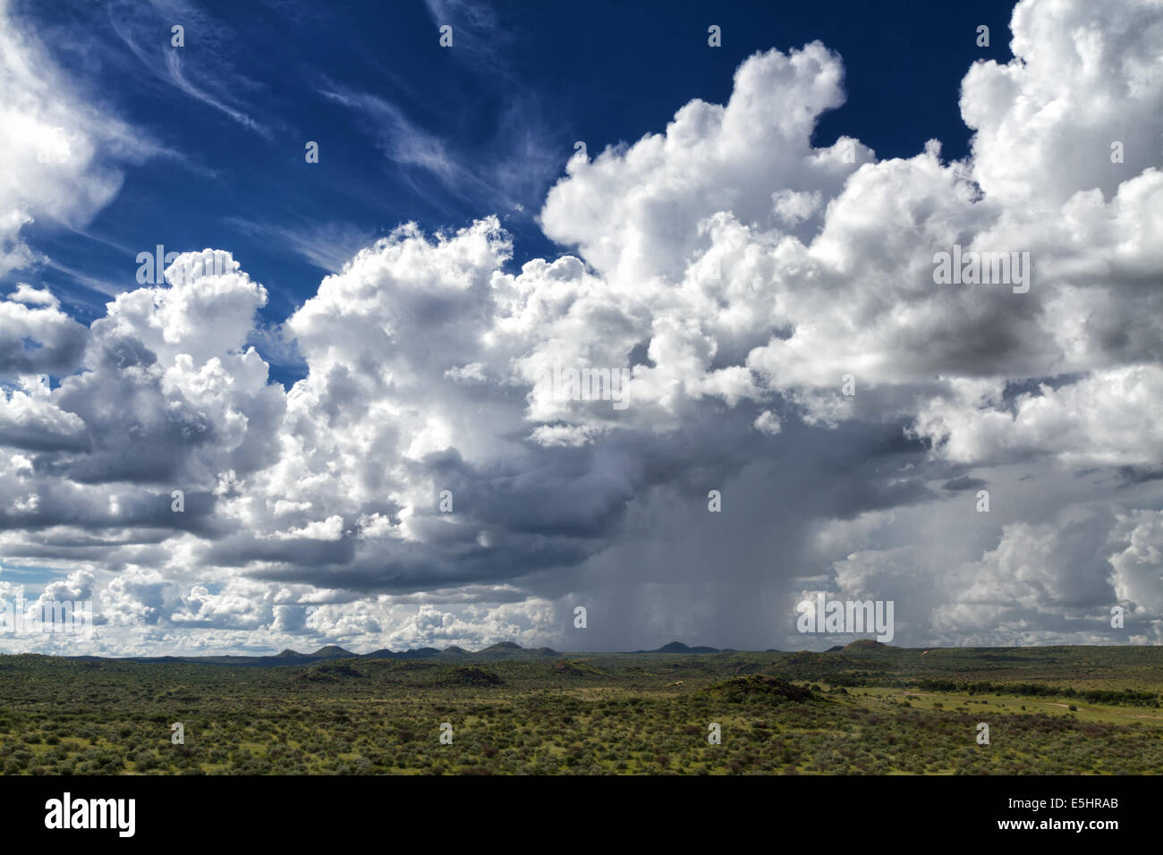 Wet savanna hi-res stock photography and images - Alamy