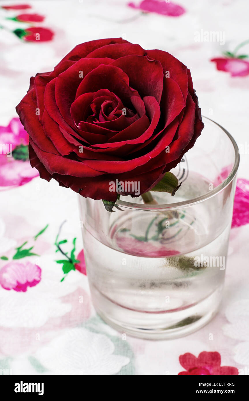 Plant separation flower flower hi-res stock photography and images - Alamy