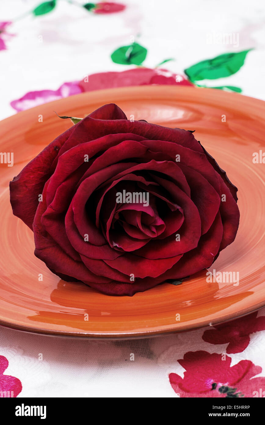 Plant separation flower flower hi-res stock photography and images - Alamy