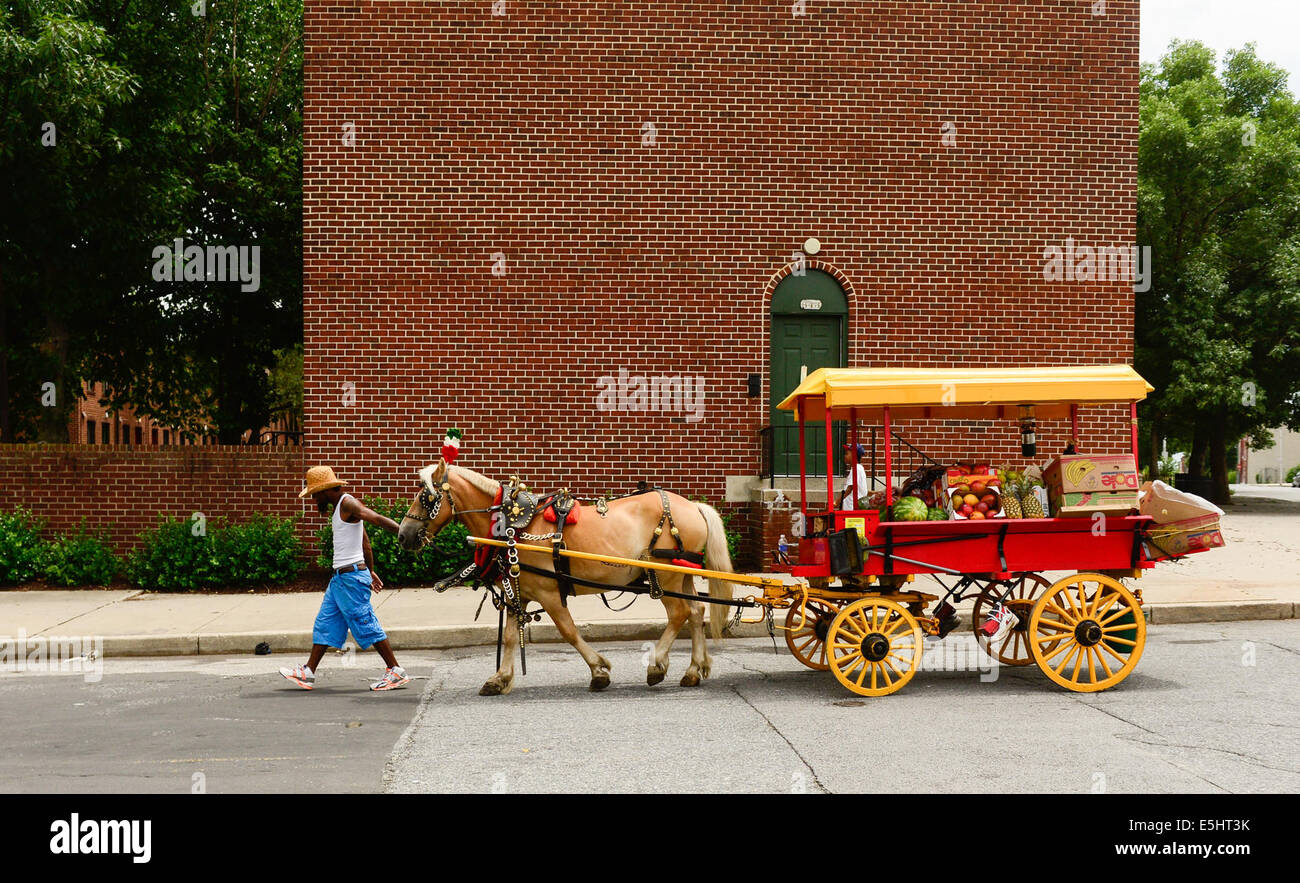 An Araber walks his horse down the street to sell fruit in Baltimore ...