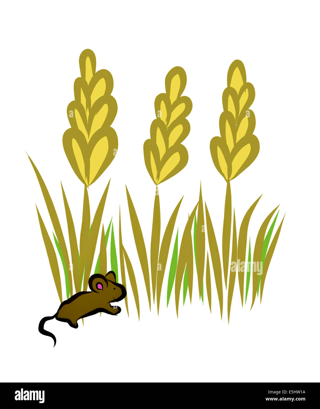 Field Mouse Drawing