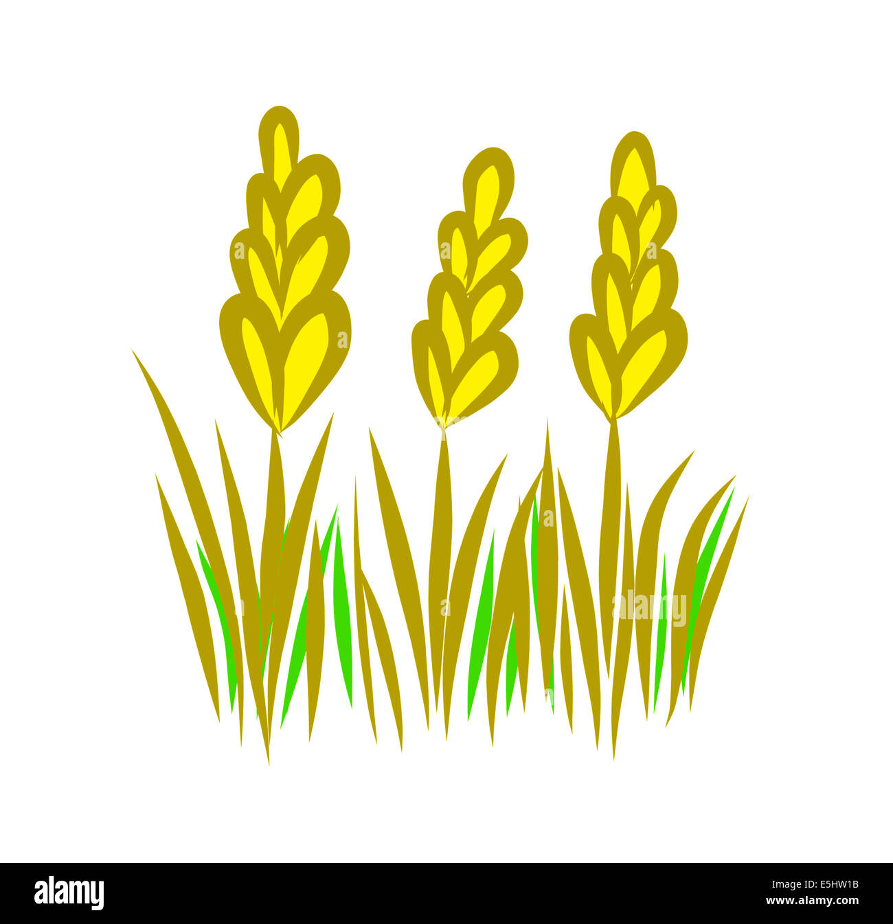 Wheat drawing Cut Out Stock Images & Pictures - Alamy