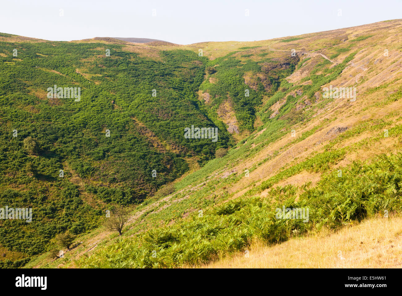 Head of a river valley in the Long Mynd hills above Church Stretton ...