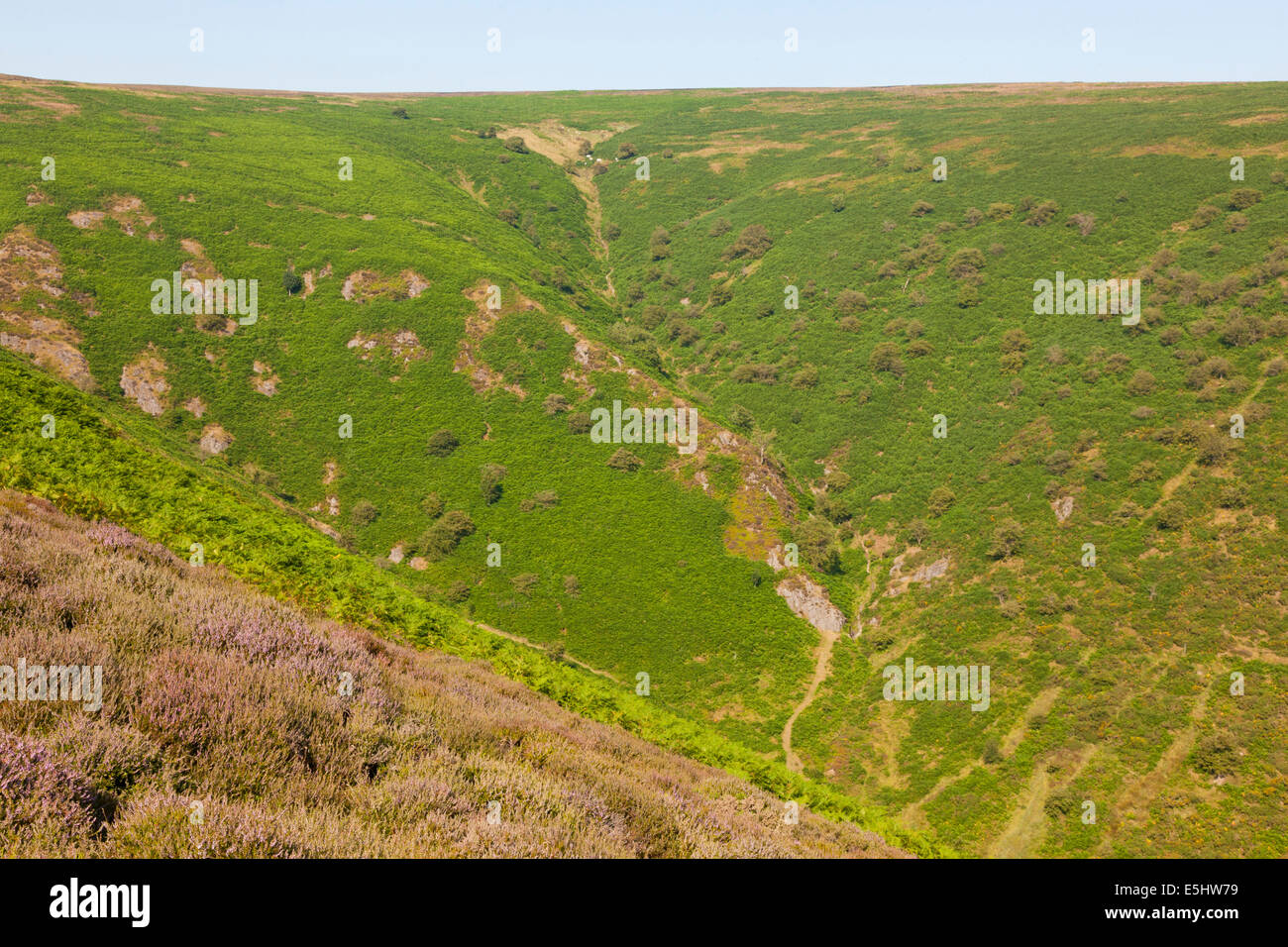 Head of a river valley in the Long Mynd hills above Church Stretton ...