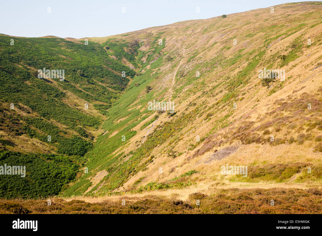 Long Mynd hills, above Church Stretton, Shropshire, UK Stock Photo - Alamy
