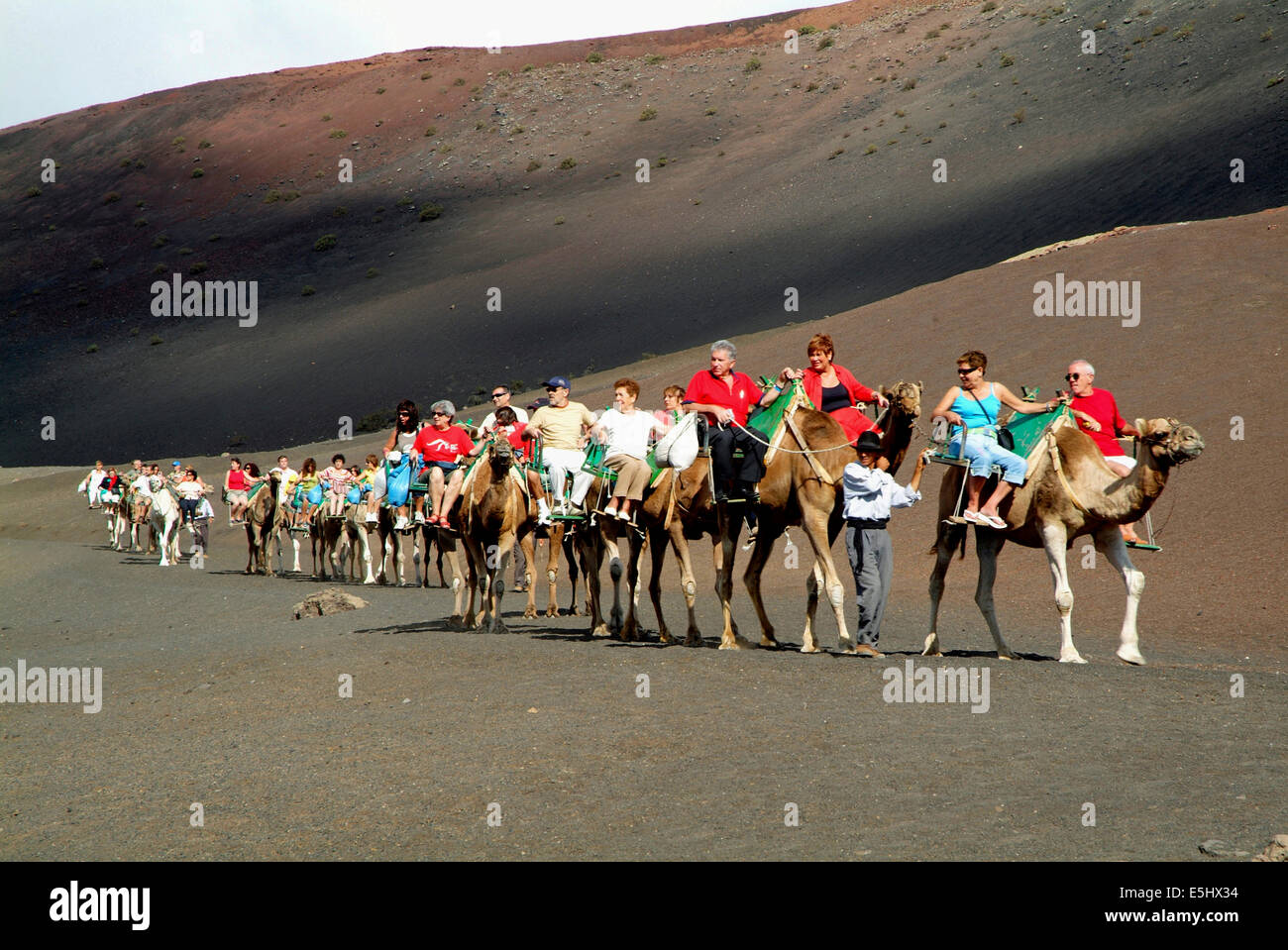 Camel tour at Timanfaya National park Stock Photo - Alamy