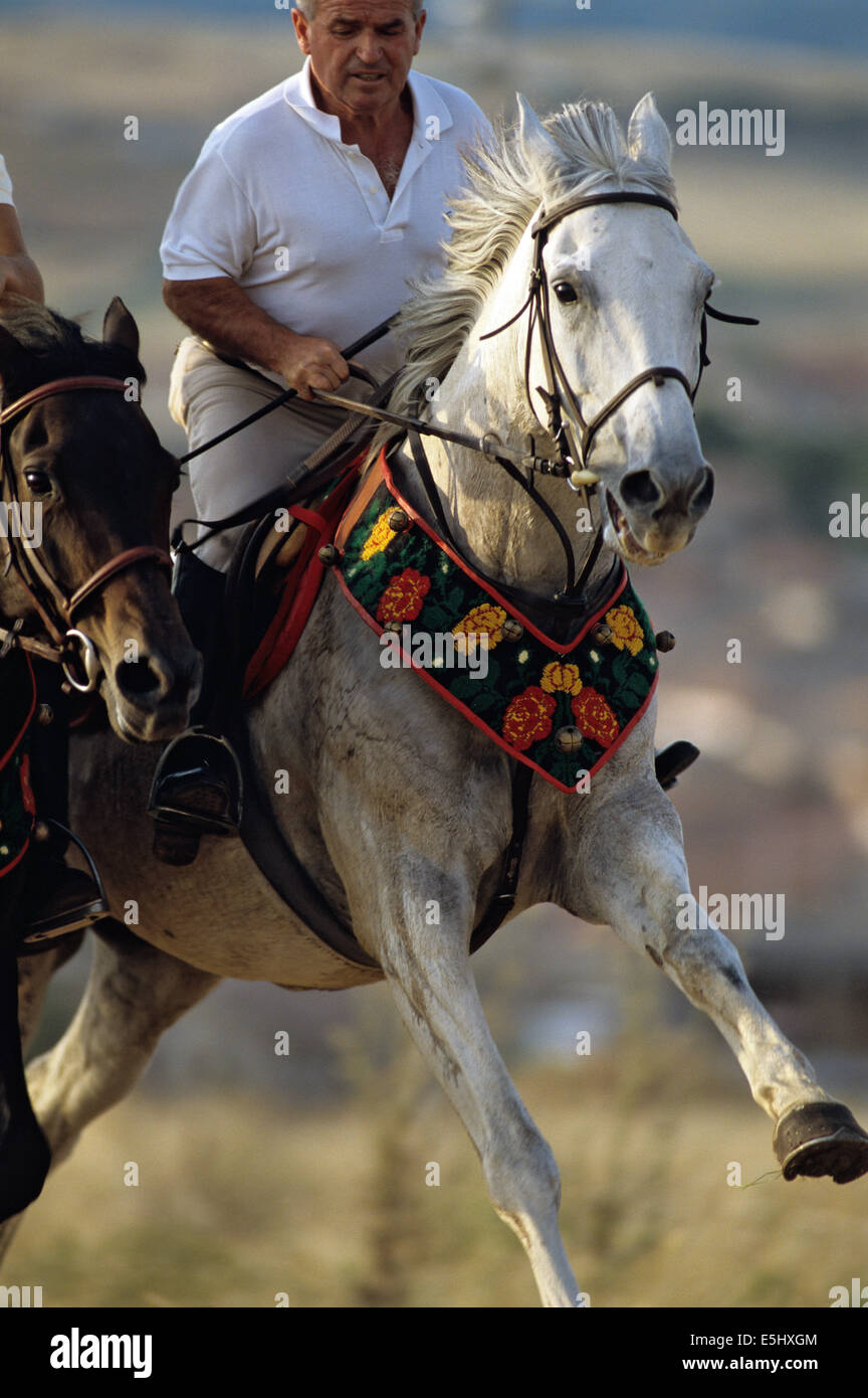 Pozzomaggiore hi-res stock photography and images - Alamy