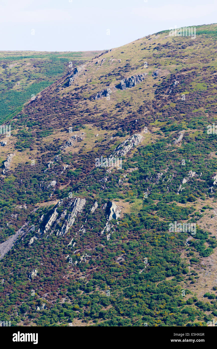 Long Mynd hills, above Church Stretton, Shropshire, UK Stock Photo - Alamy