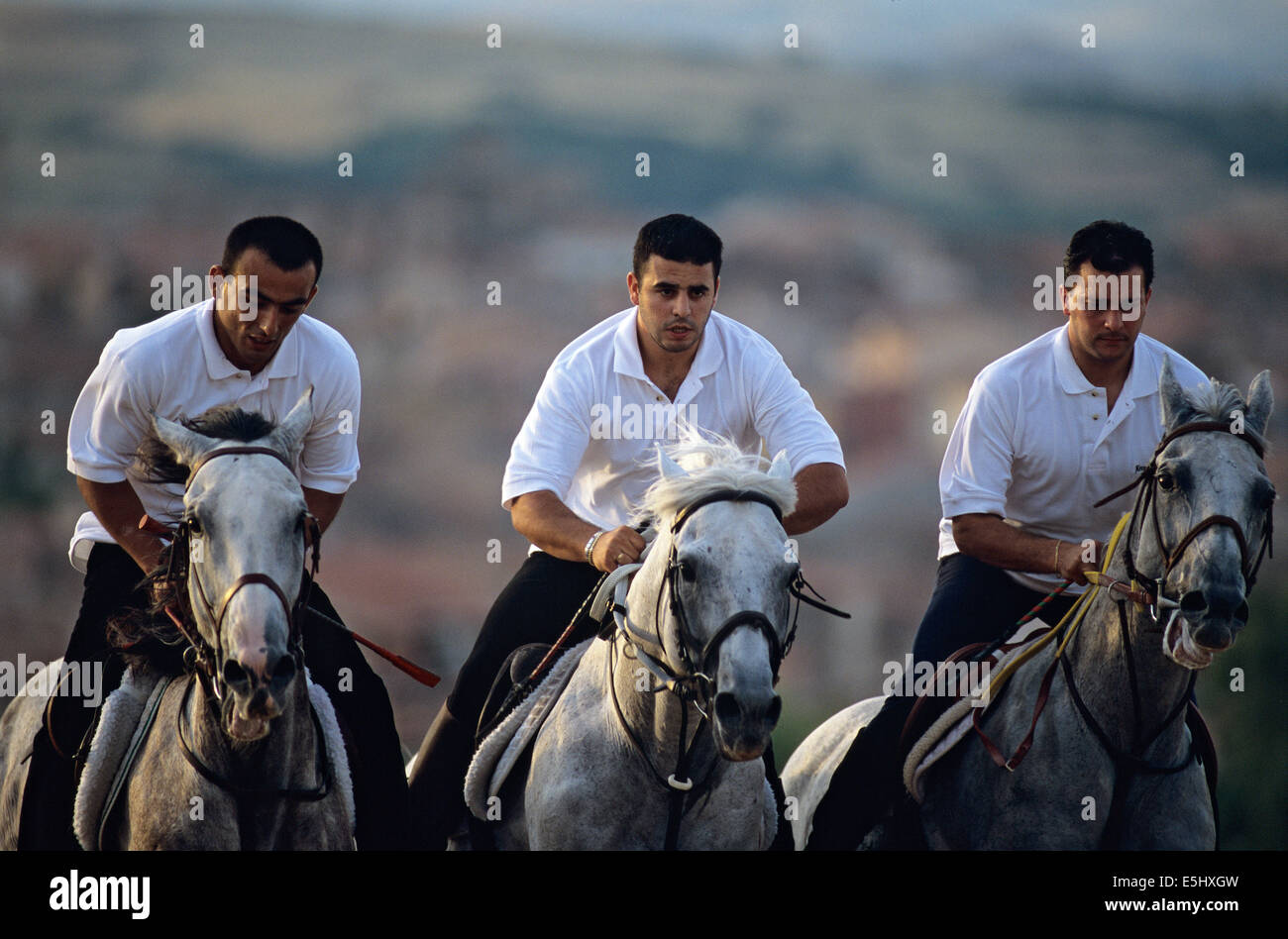 Pozzomaggiore hi-res stock photography and images - Alamy