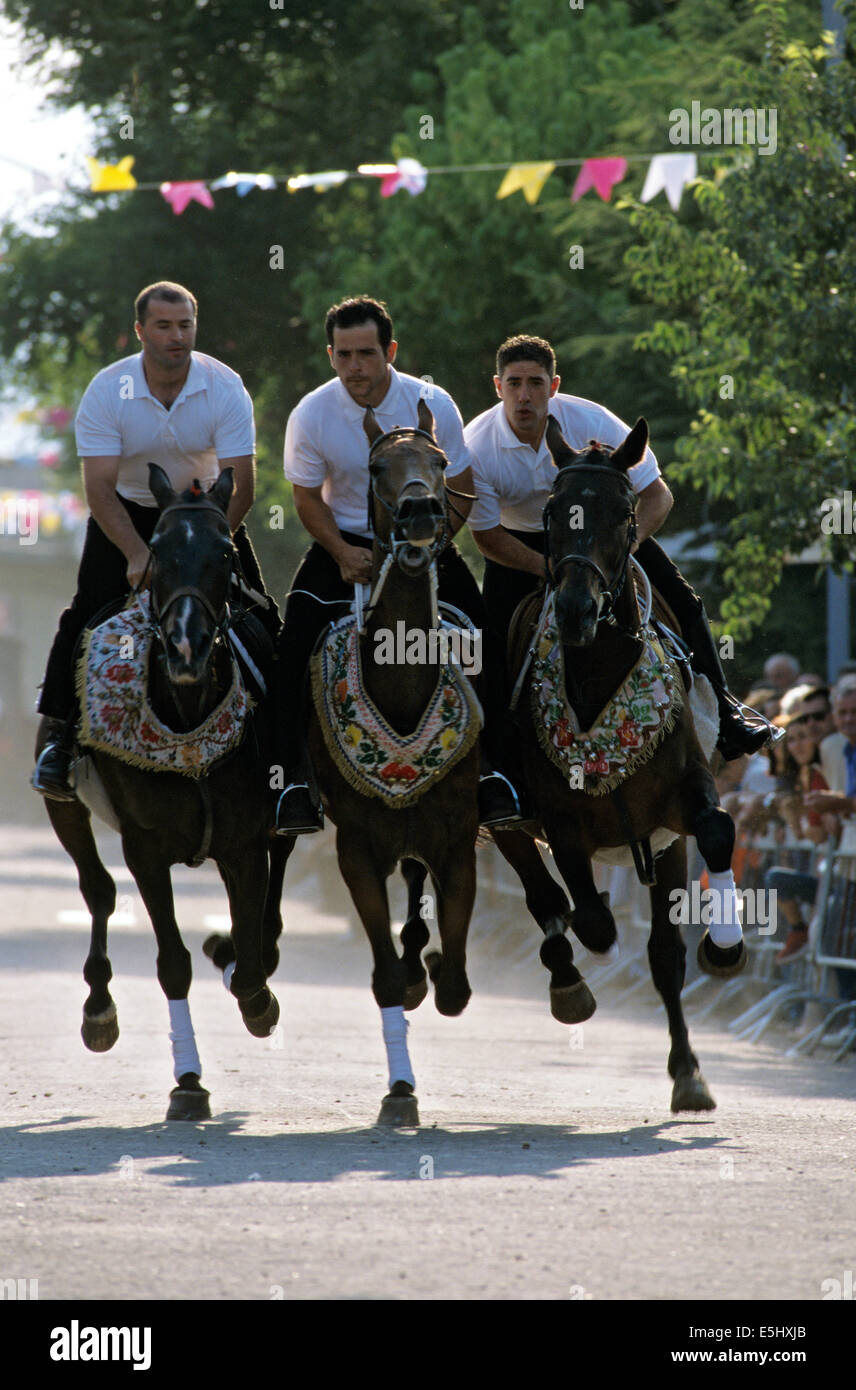 Pozzomaggiore is a small village in the north-west part of Sardinia ...