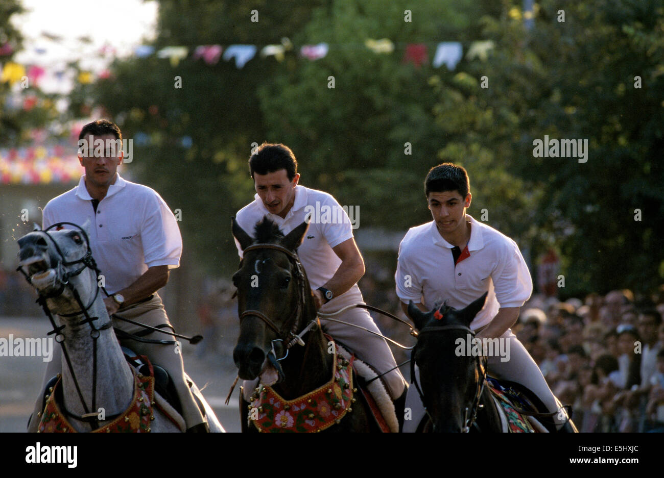 Pozzomaggiore is a small village in the north-west part of Sardinia ...
