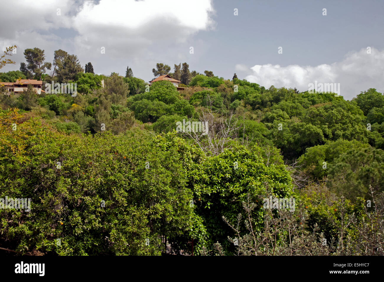 Middle east landscape hi-res stock photography and images - Alamy