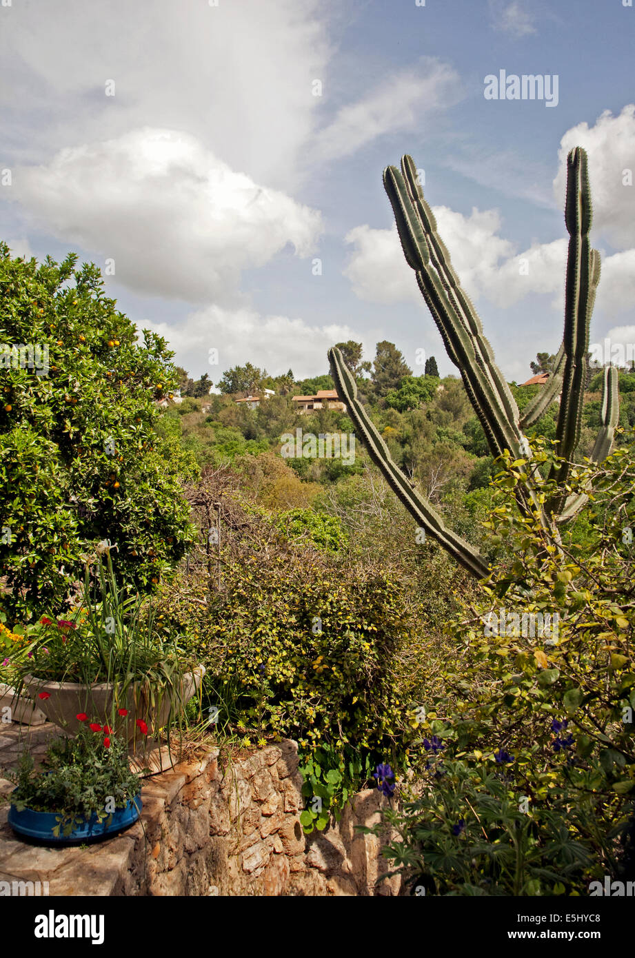 View of garden and landscape, Israel Stock Photo - Alamy