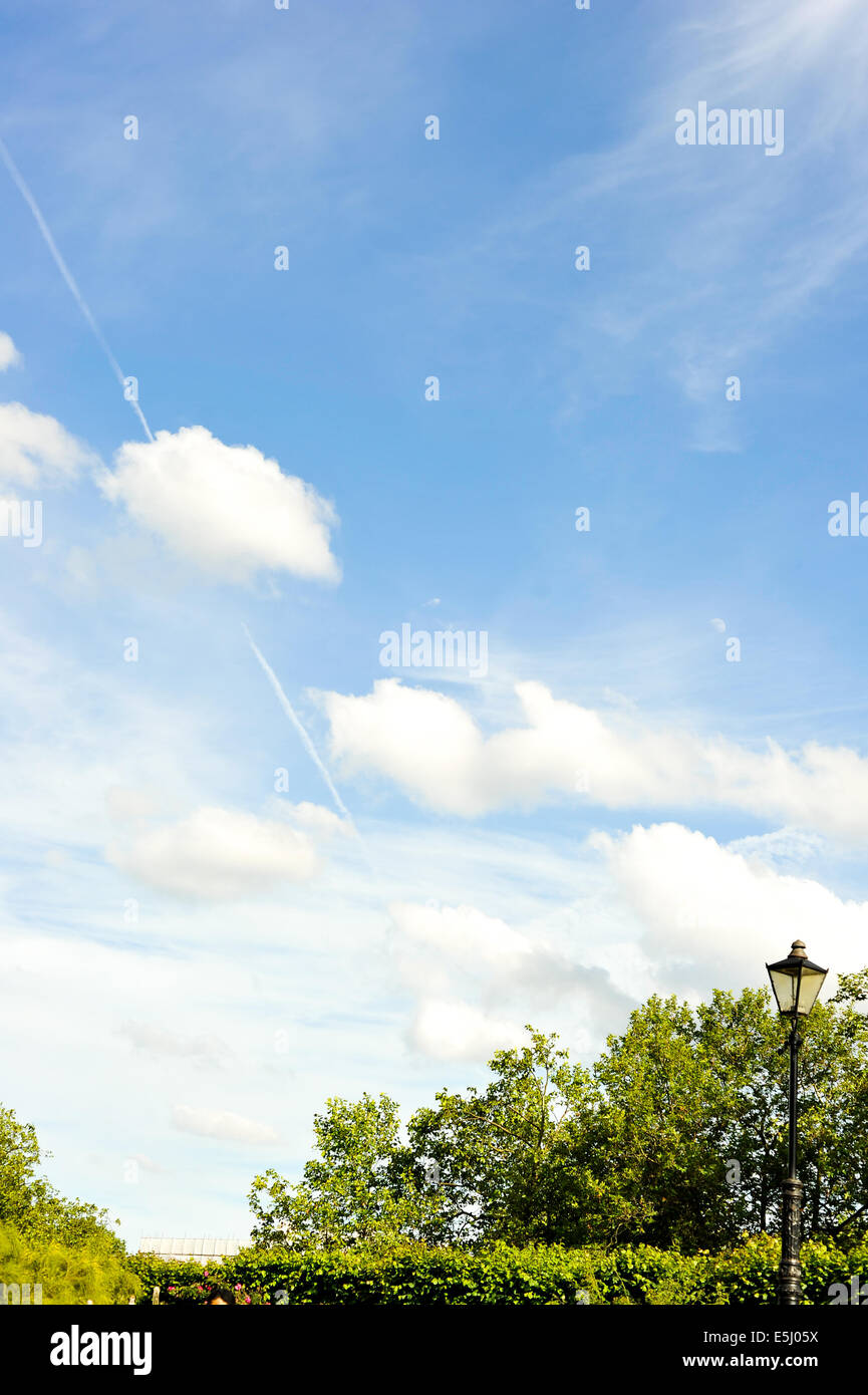 Trees at hyde park hi-res stock photography and images - Alamy