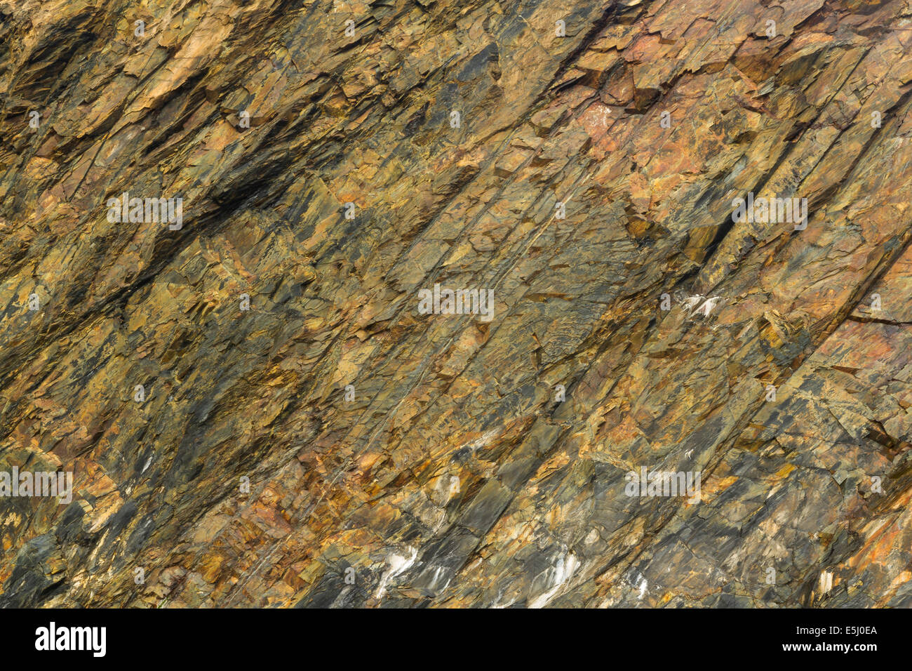 Sheer slate rock face, Pembrokeshire, Wales, United Kingdom, Europe ...