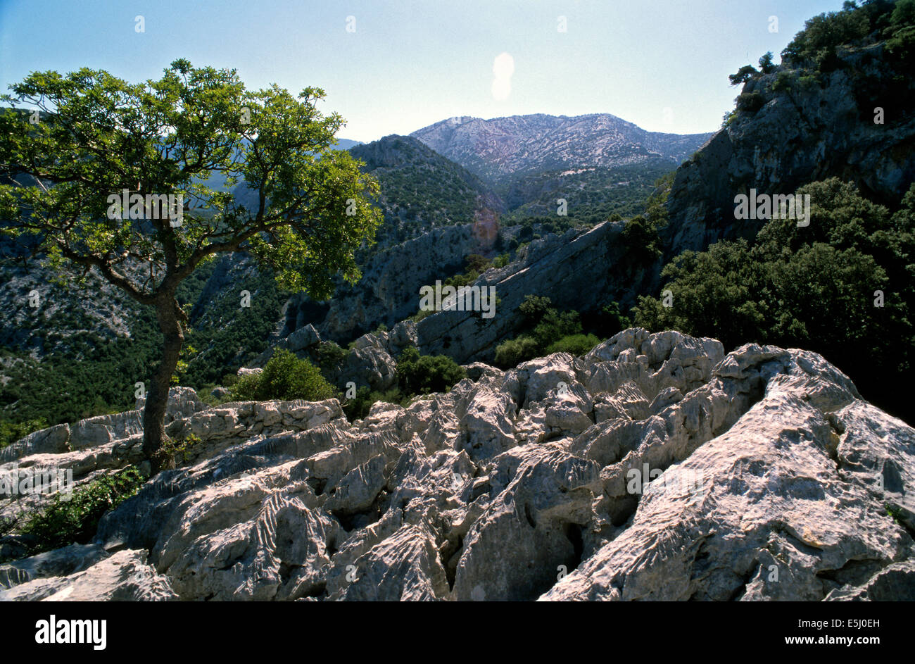 The Supramonte of Dorgali falls among the valleys of the Flumineddu and ...