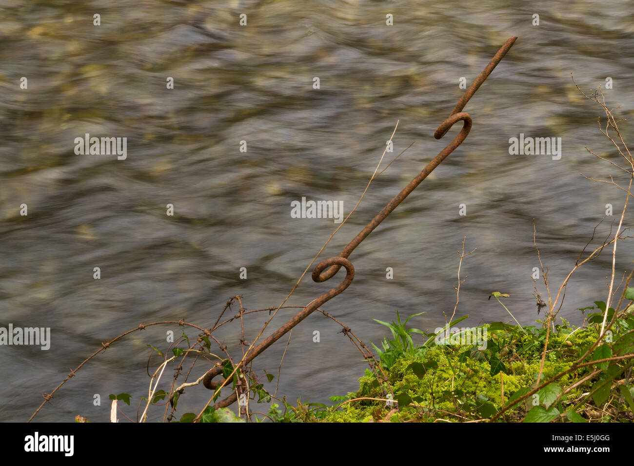Barbed wire entanglement hi-res stock photography and images - Alamy