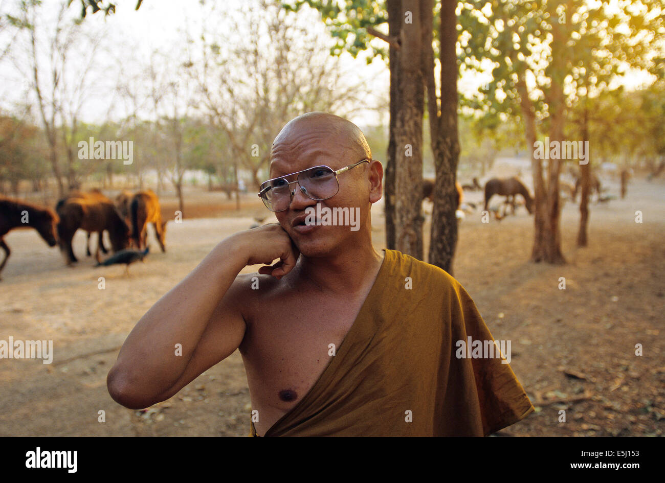 Tiger Temple, or Wat Pha Luang Ta Bua, is a Theravada Buddhist temple ...