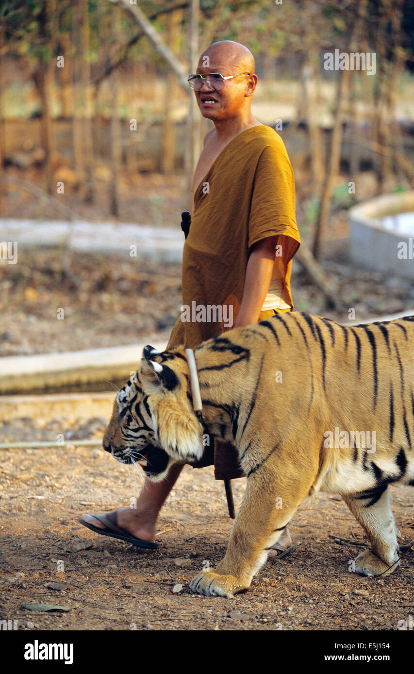Tiger Temple, or Wat Pha Luang Ta Bua, is a Theravada Buddhist temple ...