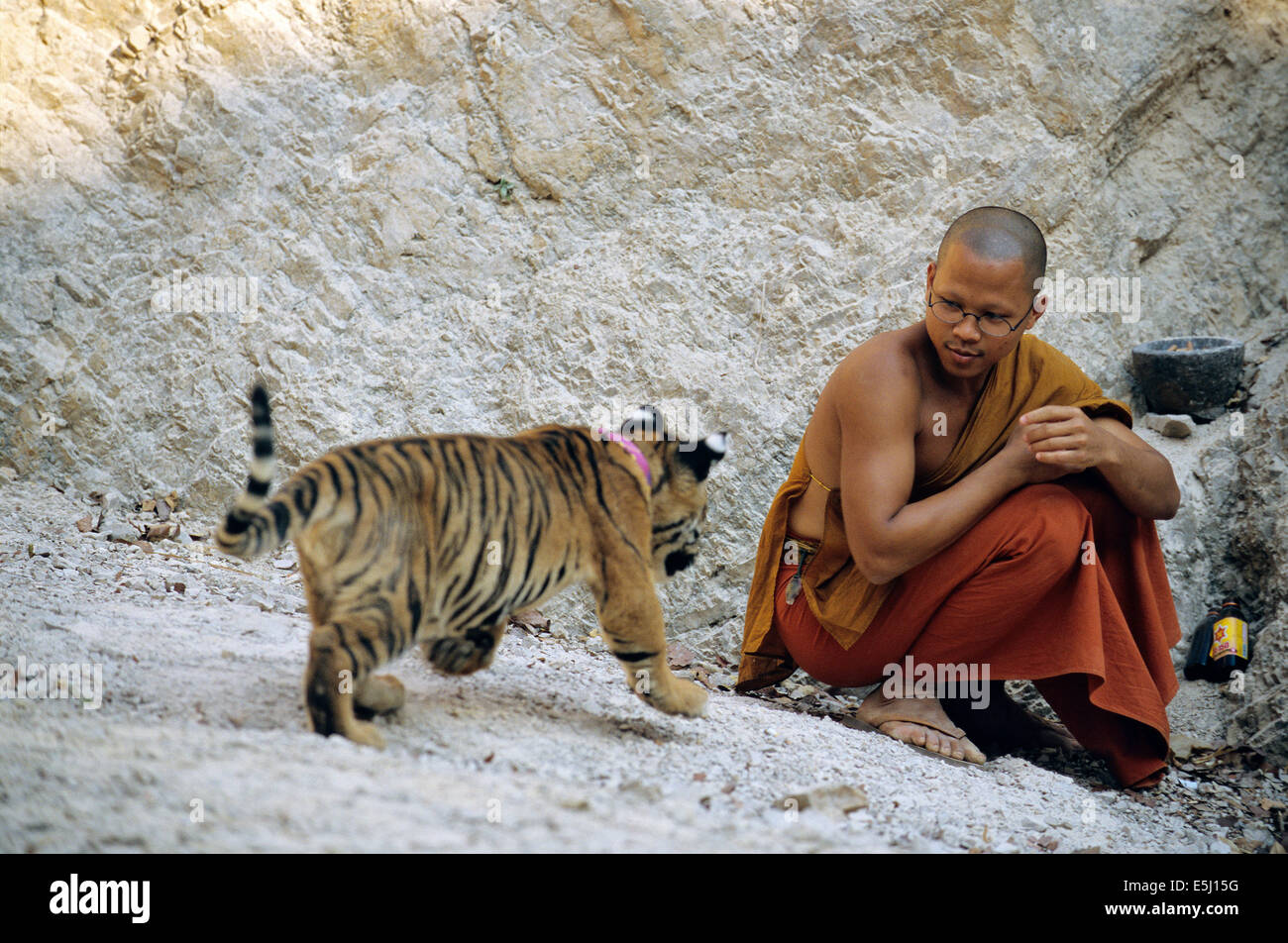 Tiger Temple, or Wat Pha Luang Ta Bua, is a Theravada Buddhist temple ...