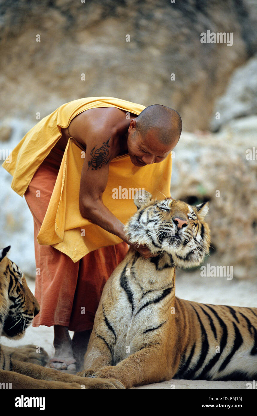 Tiger Temple, or Wat Pha Luang Ta Bua, is a Theravada Buddhist temple ...