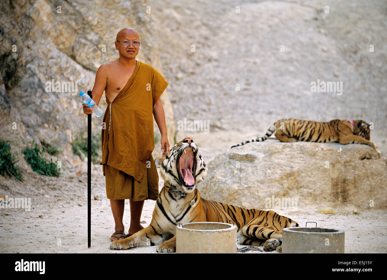 Tiger Temple, or Wat Pha Luang Ta Bua, is a Theravada Buddhist temple ...